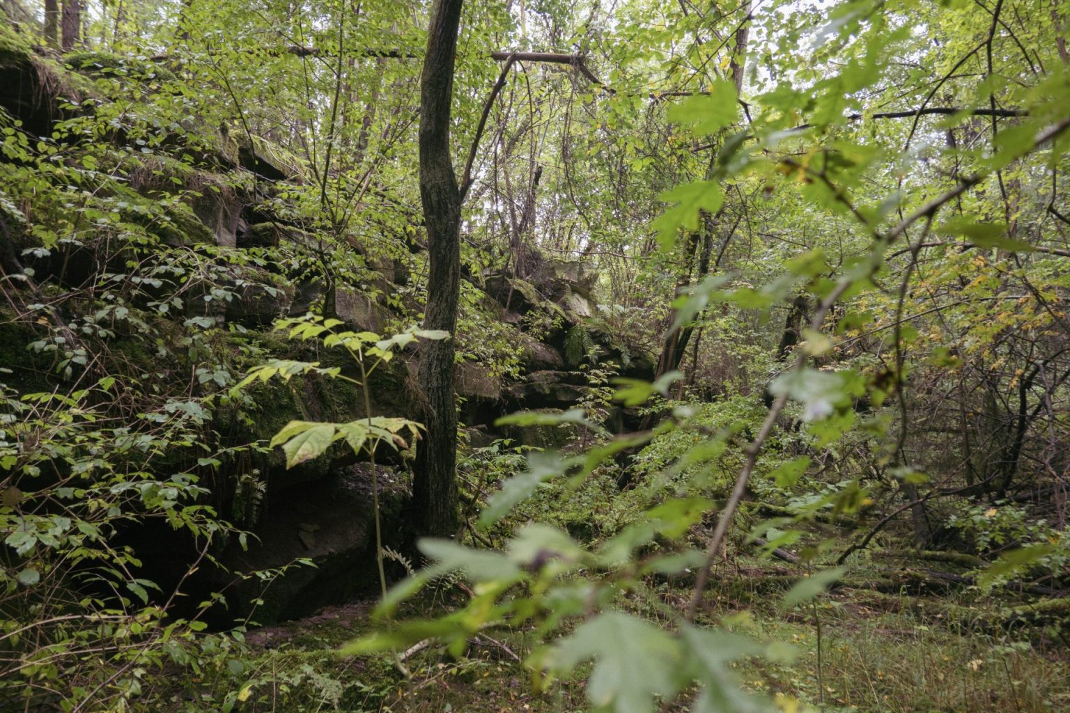 The Lost Megalithic Pyramids Of Southwest Germany