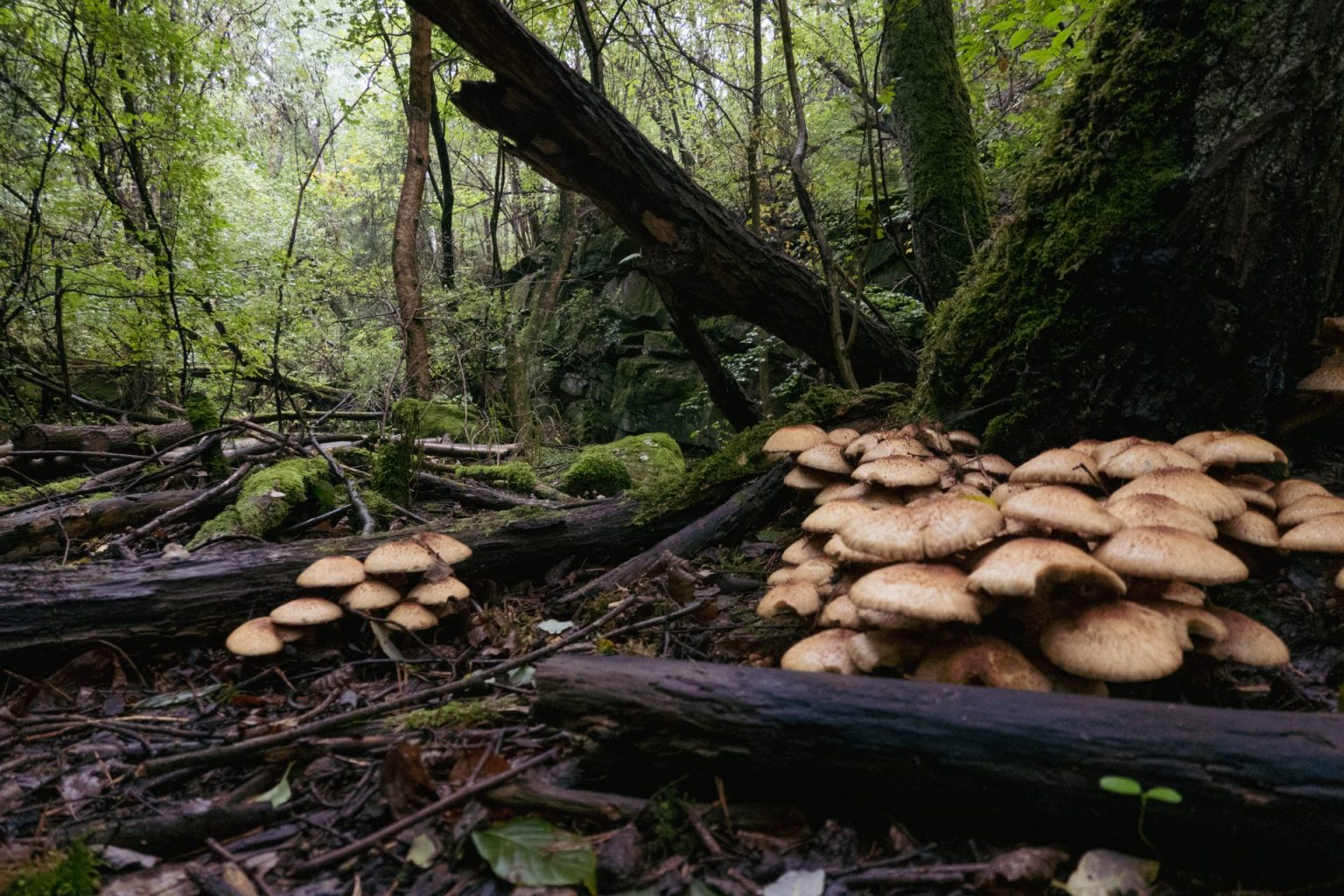 The Lost Megalithic Pyramids Of Southwest Germany