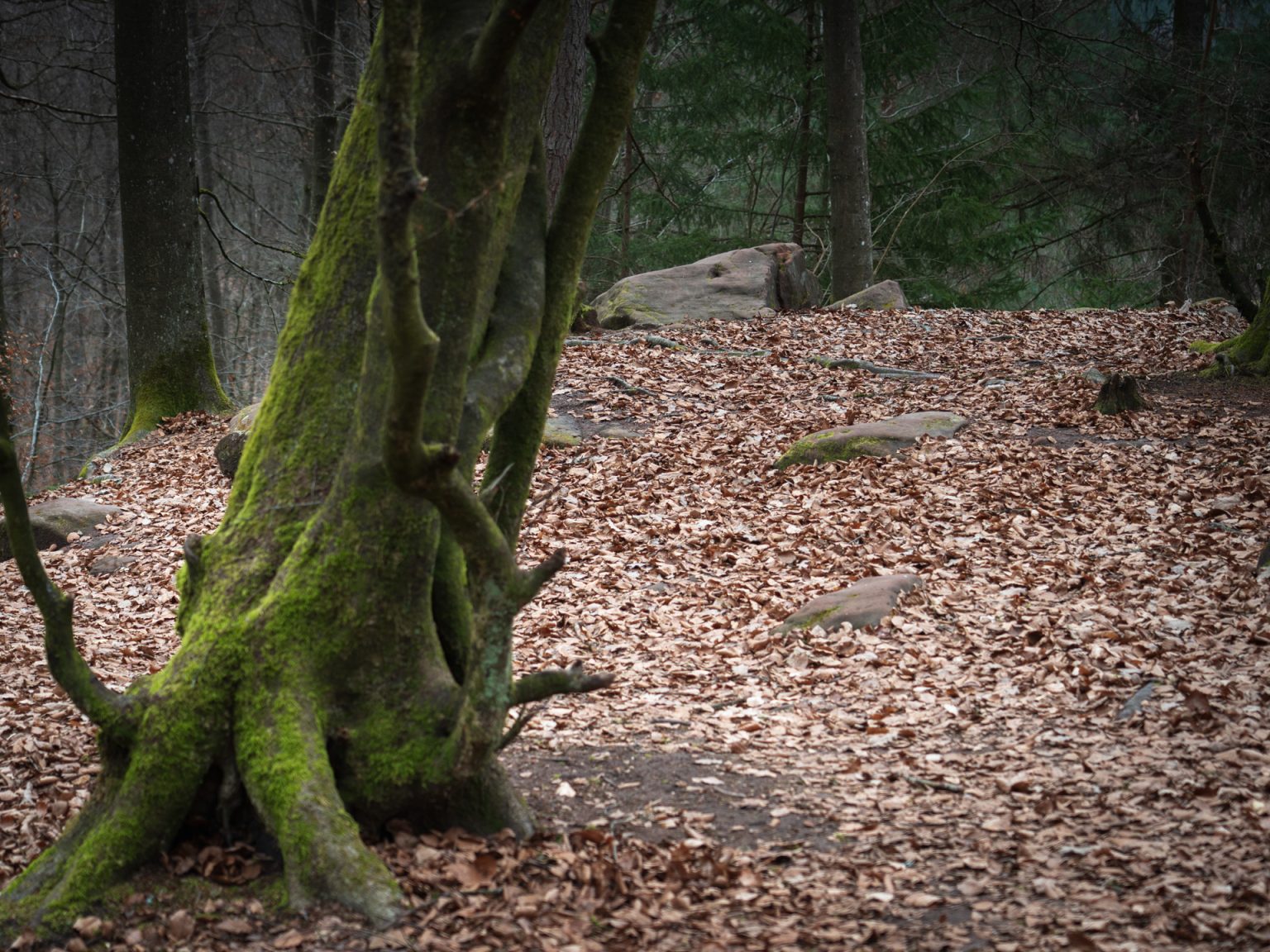 The Devil's Table: A Mysterious and Captivating Natural Phenomenon