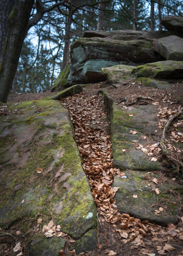 The Devil's Table: A Mysterious and Captivating Natural Phenomenon