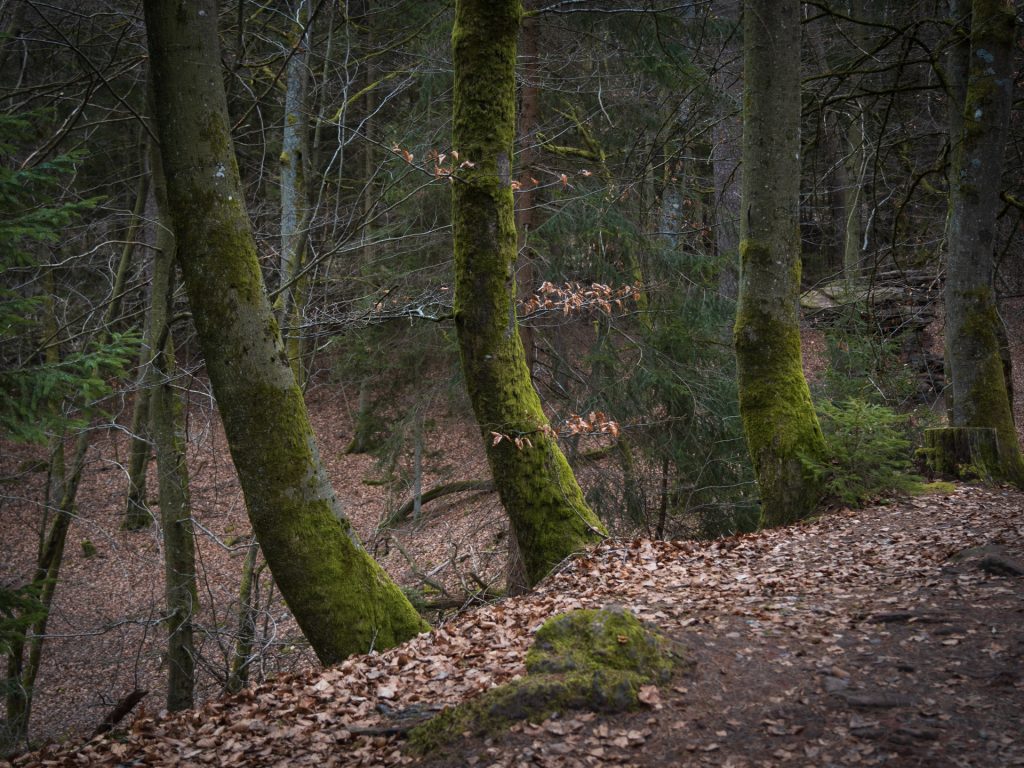 The Devil's Table: A Mysterious and Captivating Natural Phenomenon