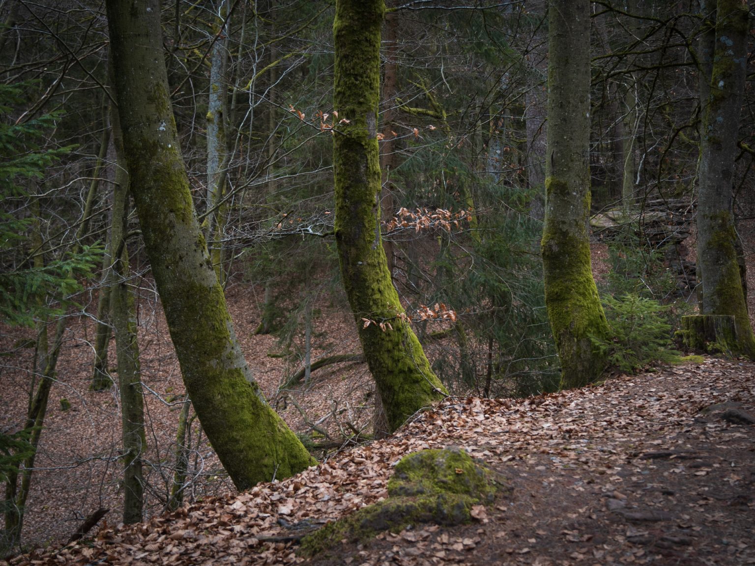 The Devil's Table: A Mysterious and Captivating Natural Phenomenon