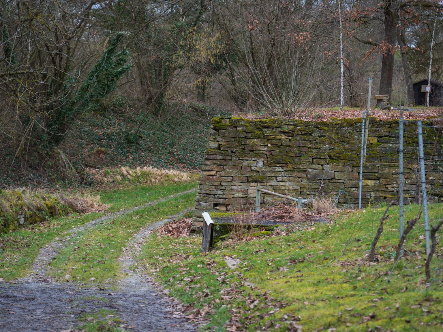 The Walheim Pyramid: An Ancient Structure That Shouldn’t Exist in Germany